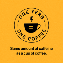 Yerb: Carbonated Yerba Mate | Plant Based Energy