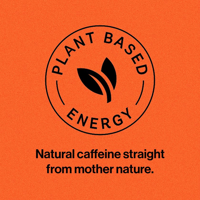 Yerb: Carbonated Yerba Mate | Plant Based Energy